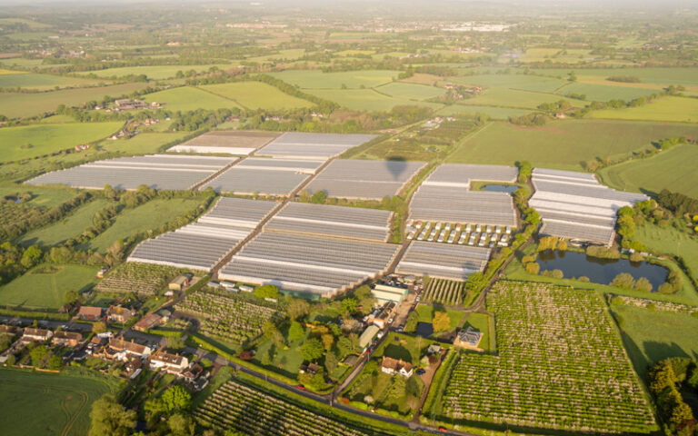 Our wider support - Watling Real Estate